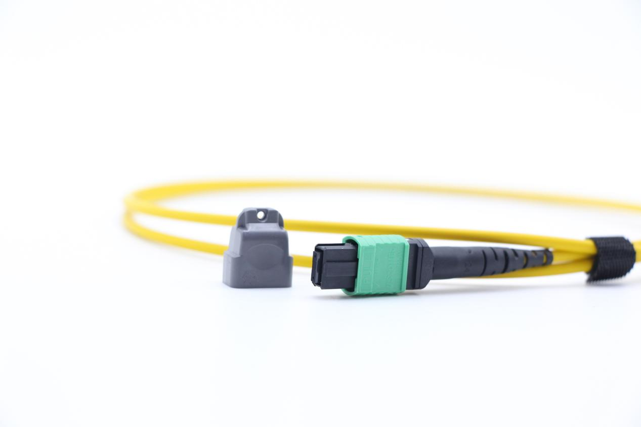 Understanding MTP Polarity - A Clear Guide